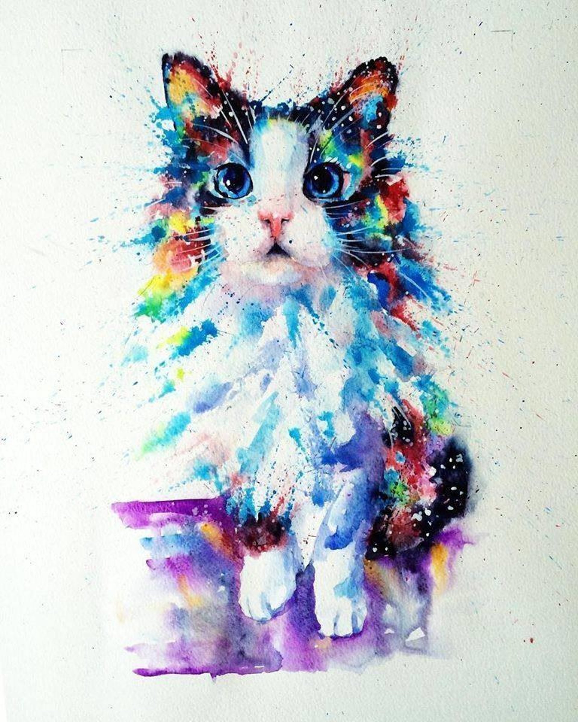 tiny catto : r/drawing